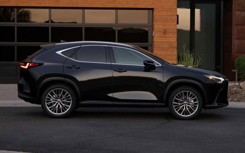 Lexus NX 350 2022 | SUV Drive